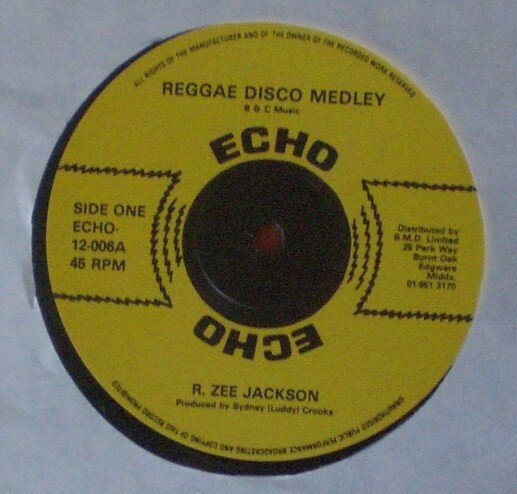 ・アーティスト R. Zee Jackson , Leroy Brown ・タイトル Reggae Disco Medley / Love Another Love ・レーベル・型番 Echo ECHO12006 ・フォーマット 12インチ...