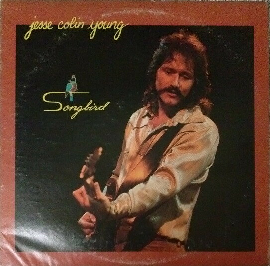 ・アーティスト Jesse Colin Young ・タイトル Songbird ・レーベル・型番 WARNER BROS BS2845 ・フォーマット LPレコード ・コンディション(盤) 良い (VG+) ・コンディション(ジャケット)...