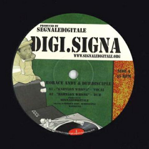 ・アーティスト Horace Andy, Dubdisciple ・タイトル Babylon Wrong; Dub / (Future Dub) ・レーベル・型番 Digi. Signa none ・フォーマット 12" ・コンディション(...