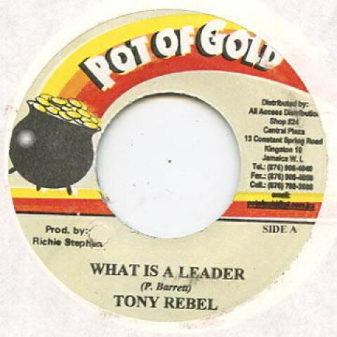 ・アーティスト Tony Rebel / Joan Dixon ・タイトル What Is A Leader / God Is The Answer ・レーベル・型番 ・フォーマット 7" ・コンディション(盤) 新品 (M) ・コンディシ...