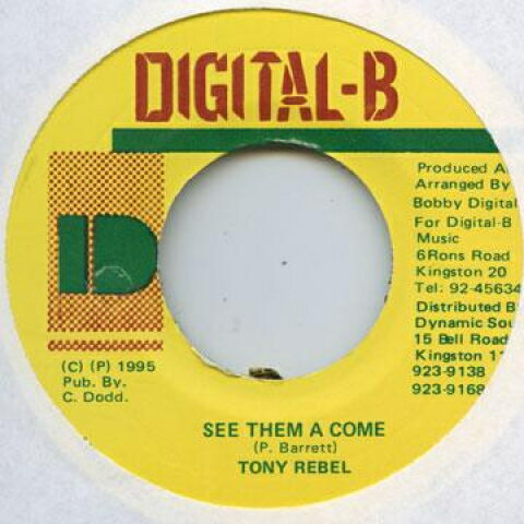 ・アーティスト Tony Rebel ・タイトル See Them A Come ・レーベル・型番 ・フォーマット 7インチレコード ・コンディション(盤) 新品 (M) ・コンディション(ジャケット) ・コンディション(帯) オビなし ・...