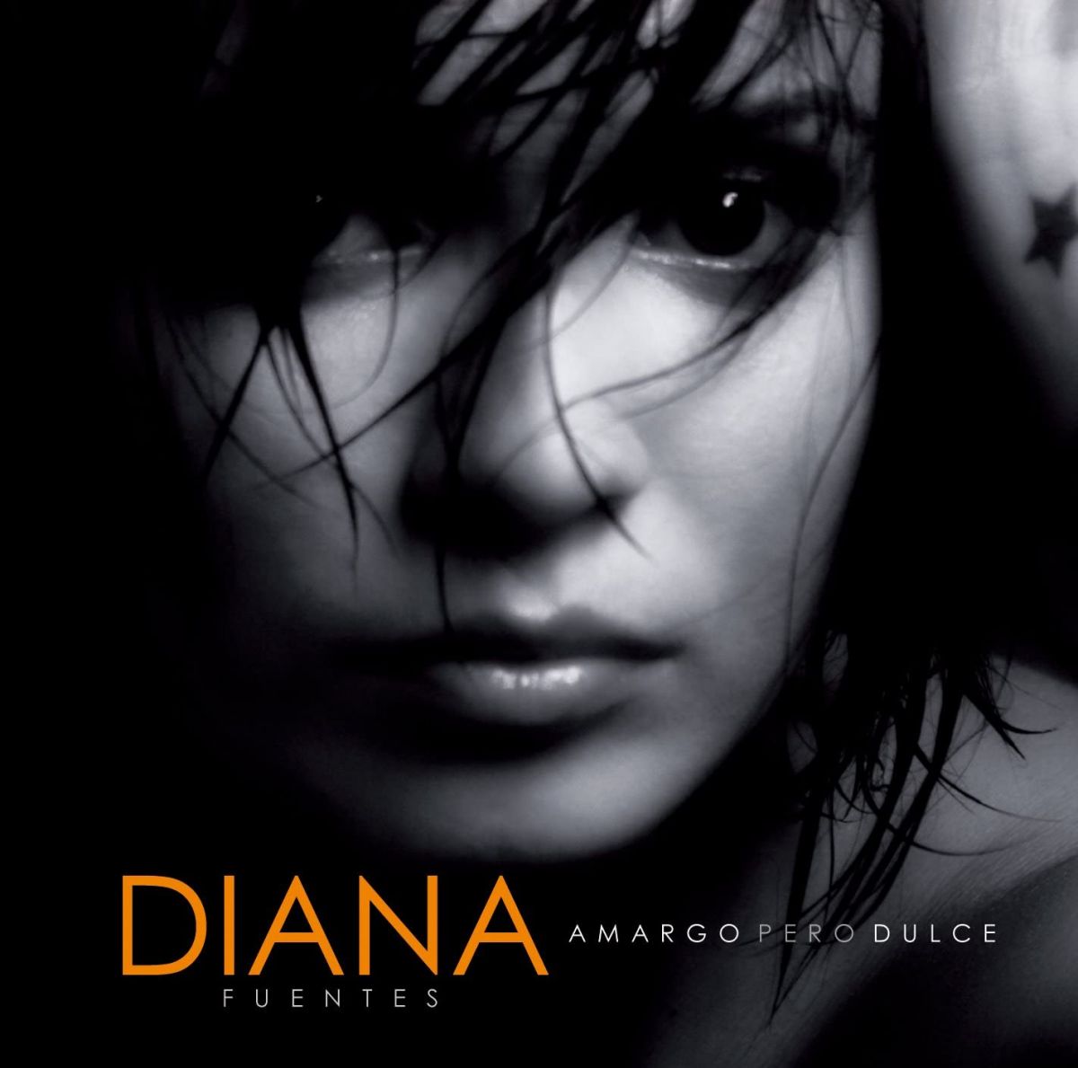 ・アーティスト ディアナ・フエンテス ・タイトル ビター・ラヴ、スウィート・ラヴ ・レーベル・型番 ・フォーマット CD ・コンディション(盤) 非常に良い(EX) ・コンディション(ジャケット) ・コンディション(帯) オビあり ・特記事...