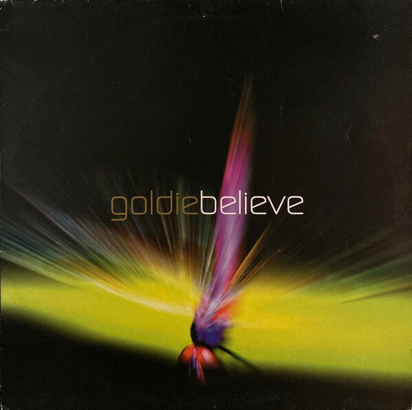 ・アーティスト Goldie ・タイトル Believe ・レーベル・型番 FFRR 5701571 ・フォーマット 12インチレコード ・コンディション(盤) 良い (VG+) ・コンディション(ジャケット) 良い (VG+) ・コンディ...