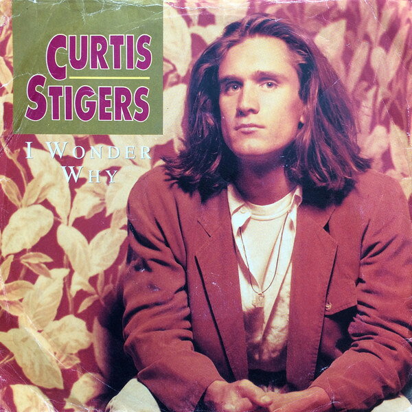 ・アーティスト Curtis Stigers ・タイトル I Wonder Why ・レーベル・型番 Arista 114716 ・フォーマット 7インチレコード ・コンディション(盤) 良い (VG+) ・コンディション(ジャケット) 良...