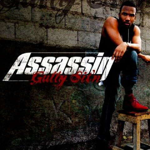 ・アーティスト Agent Sasco (Assassin) ・タイトル Gully Sit'n ・レーベル・型番 VP US VPLP1777 ・フォーマット LPレコード ・コンディション(盤) 新品 (M) ・コンディション(ジャケッ...