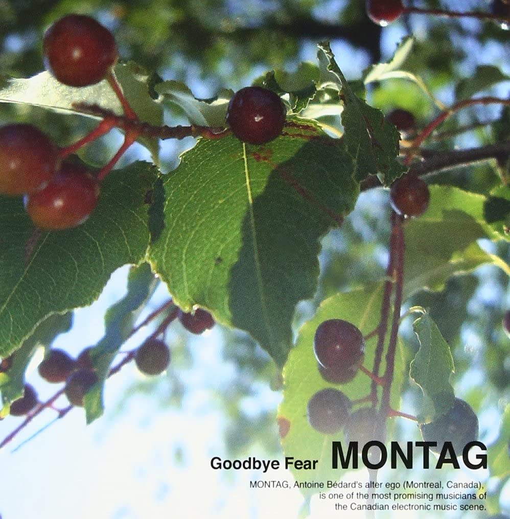 ・アーティスト MONTAG ・タイトル GOODBYE FEAR ・レーベル・型番 ・フォーマット CD ・コンディション(盤) 非常に良い(EX) ・コンディション(ジャケット) ・コンディション(帯) オビあり ・特記事項 【帯付き】...