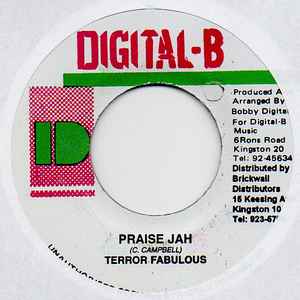 ・アーティスト Terror Fabulous ・タイトル Praise Jah ・レーベル・型番 Digital-B none ・フォーマット 7インチレコード ・コンディション(盤) 良い (VG+) ・コンディション(ジャケット) プ...