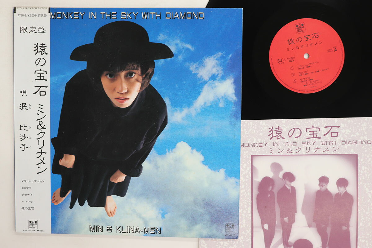 ・アーティスト 泯比沙子 ・タイトル 猿の宝石 Monkey In The Sky With Diamond ・レーベル・型番 MEDIUM FIRST PRESS AY202 ・フォーマット 12インチレコード ・コンディション(盤) 良...