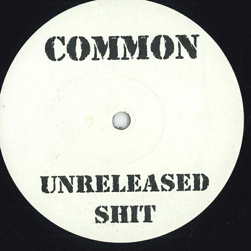 ・アーティスト Common ・タイトル Tekzilla / One-nine-nine-nine (Remix) ・レーベル・型番 NOT ON LABEL NASTY01 ・フォーマット 12インチレコード ・コンディション(盤) 良...