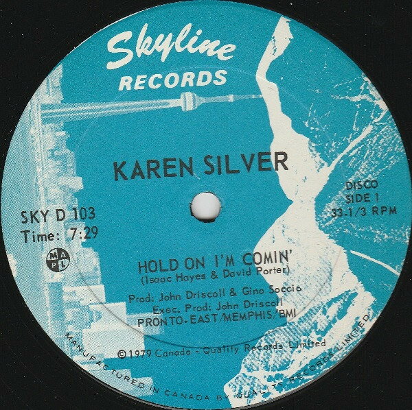 ・アーティスト Karen Silver ・タイトル Hold On I'm Comin' ・レーベル・型番 Skyline Records SKYD103 ・フォーマット 12インチレコード ・コンディション(盤) 非常に良い(EX) ・...