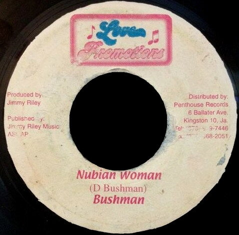 ・アーティスト Bushman (3) ・タイトル Nubian Woman ・レーベル・型番 Love Promotions NONE ・フォーマット 7インチレコード ・コンディション(盤) 良い (VG+) ・コンディション(ジャケッ...