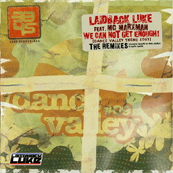 ・アーティスト Laidback Luke ・タイトル We Can Not Get Enough (Remixes) ・レーベル・型番 3345 Recordings 33454 ・フォーマット 12インチレコード ・コンディション(盤)...