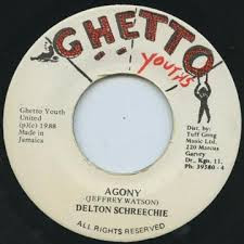 ・アーティスト Delton Screechie ・タイトル Agony ・レーベル・型番 Ghetto Youths United NONE ・フォーマット 7インチレコード ・コンディション(盤) 良い (VG+) ・コンディション(ジ...