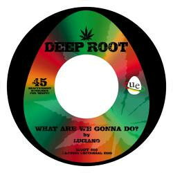・アーティスト Luciano (2) / Abassi All Stars ・タイトル What Are We Gonna Do? ・レーベル・型番 Deep Root ROOT010 ・フォーマット 7インチレコード ・コンディション(...