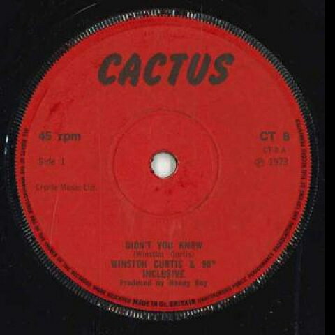 ・アーティスト Winston Curtis, 90 Inclusive / Honey Boy ・タイトル Didn't You Know / What's Your Name ・レーベル・型番 Cactus UK CT8 ・フォーマット...