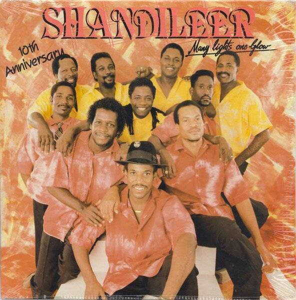 ・アーティスト Shandileer ・タイトル Many Lights One Glow - 10th Anniversary Album ・レーベル・型番 Sorrel Records SR001 ・フォーマット LPレコード ・コンデ...