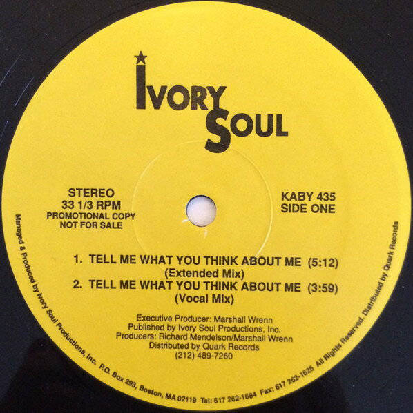 ・アーティスト Ivory Soul ・タイトル Tell Me What You Think About Me ・レーベル・型番 Kaby Records KABY435 ・フォーマット 12インチレコード ・コンディション(盤) 良い ...
