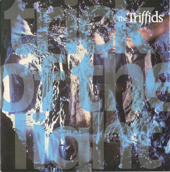 ・アーティスト Triffids ・タイトル Trick Of The Light ・レーベル・型番 ISLAND 10IS350 ・フォーマット 10インチレコード ・コンディション(盤) 良い (VG+) ・コンディション(ジャケット)...