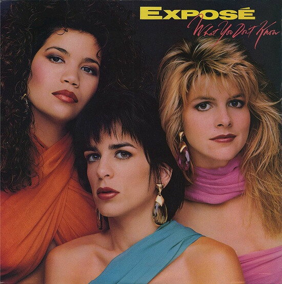・アーティスト Expos? ・タイトル What You Don't Know ・レーベル・型番 Arista ARCD8532 ・フォーマット CD ・コンディション(盤) 可 (VG) ・コンディション(ジャケット) ・コンディション...