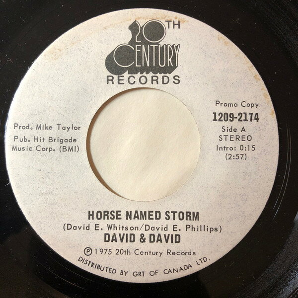 ・アーティスト David & David ・タイトル Horse Named Storm ・レーベル・型番 20th Century Records 12092174PROMO ・フォーマット 7インチレコード ・コンディション(盤) 良...