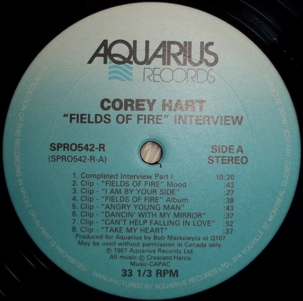・アーティスト Corey Hart ・タイトル Fields Of Fire Interview ・レーベル・型番 Aquarius SPRO542R ・フォーマット 12インチレコード ・コンディション(盤) ほぼ新品 (M-) ・コン...
