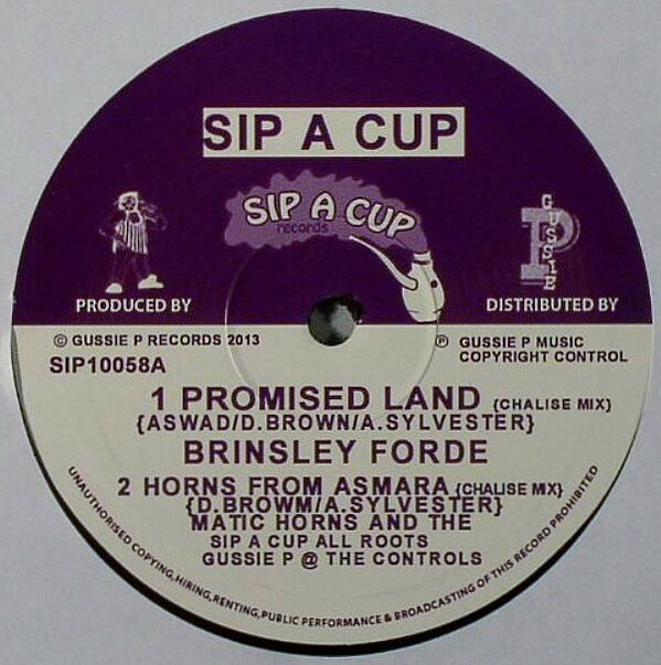 ・アーティスト Various ・タイトル Promised Land / Troddin To The Promised Land ・レーベル・型番 ・フォーマット 10インチレコード ・コンディション(盤) 良い (VG+) ・コンディ...