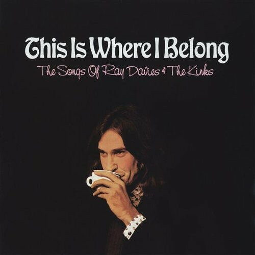・アーティスト various ・タイトル This Is Where I Belong: The Songs Of Ray Davies & The Kinks ・レーベル・型番 Rykodisc RCD10621 ・フォーマット CD ...