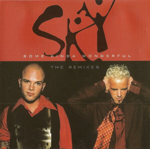 ・アーティスト Sky ・タイトル Some Kinda Wonderful (The Remixes) ・レーベル・型番 EMI Music Canada DPRO1806 ・フォーマット CD ・コンディション(盤) 良い (VG+) ...