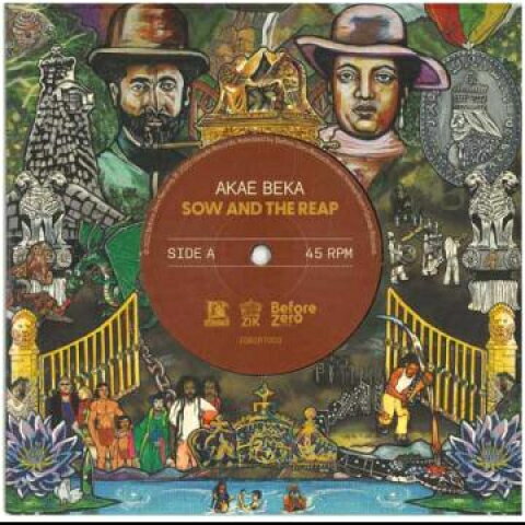 ・アーティスト Akae Beka ・タイトル Sow And The Reap / Dub And The Reap ・レーベル・型番 Before Zero IGBZR7003 ・フォーマット 7インチレコード ・コンディション(盤) ...