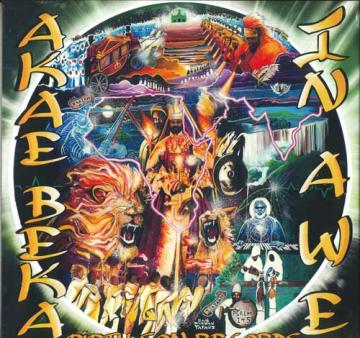 ・アーティスト Akae Beka ・タイトル In Awe ・レーベル・型番 Fifth Son EU TRSFSLP4 ・フォーマット LPレコード ・コンディション(盤) 新品 (M) ・コンディション(ジャケット) ・コンディション...