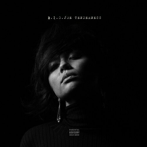 ・アーティスト B.I.G. JOE ・タイトル Tenderness (完全生産限定盤) ・レーベル・型番 TRIUMPH RECORDS / ULTRA-VYBE, INC. TRVB1201 ・フォーマット LPレコード ・コンディシ...