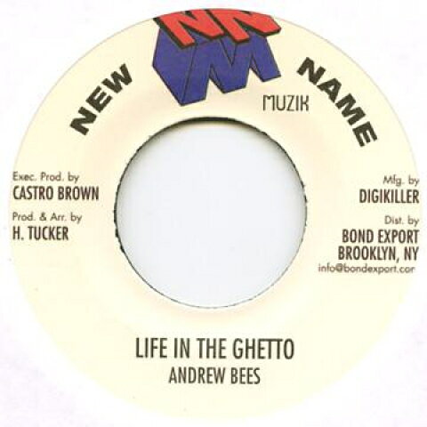 ・アーティスト Andrew Bees ・タイトル Life In The Ghetto ・レーベル・型番 New Name/Digikiller/Deeper Knowledge BE004 ・フォーマット 7インチレコード ・コンディシ...