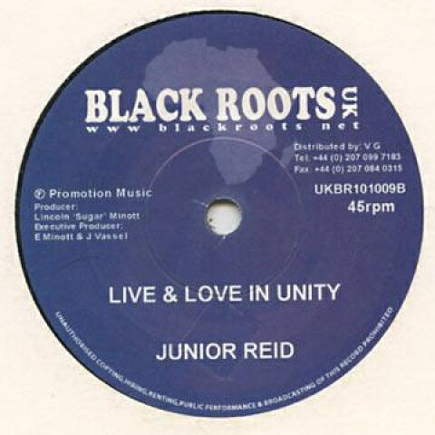 ・アーティスト Trevor Junior, Junior Reid ・タイトル Never Run Away / Live & Love In Unity ・レーベル・型番 Black Roots UK UKBR101009 ・フォーマッ...