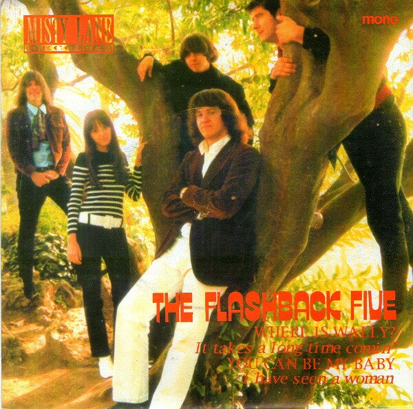・アーティスト Flashback V ・タイトル Where Is Wally? ・レーベル・型番 Misty Lane Records MISTY032EP ・フォーマット 7インチレコード ・コンディション(盤) 良い (VG+) ・...