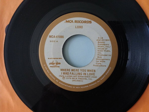 ・アーティスト Lobo ・タイトル Where Were You When I Was Falling In Love ・レーベル・型番 MCA Records MCA41065 ・フォーマット 7インチレコード ・コンディション(盤) ...