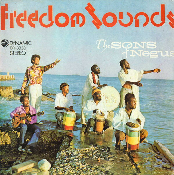 ・アーティスト Sons Of Negus ・タイトル Freedom Sounds ・レーベル・型番 Dynamic Sounds DY3350 ・フォーマット LPレコード ・コンディション(盤) 良い (VG+) ・コンディション(ジ...