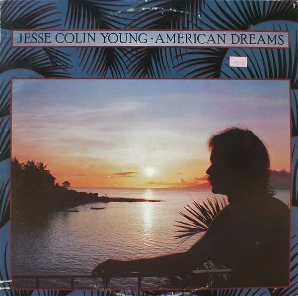 ・アーティスト Jesse Colin Young ・タイトル American Dreams ・レーベル・型番 Elektra 6E157 ・フォーマット LPレコード ・コンディション(盤) 良い (VG+) ・コンディション(ジャケッ...