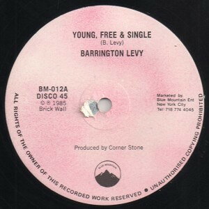 ・アーティスト Barrington Levy ・タイトル Young, Free & Single ・レーベル・型番 Blue Mountain BM012 ・フォーマット 12インチレコード ・コンディション(盤) 悪い (VG-) ・...