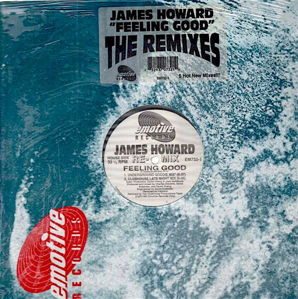 ・アーティスト James Howard ・タイトル Feeling Good (The Remixes) ・レーベル・型番 Emotive Records EM7321 ・フォーマット 12インチレコード ・コンディション(盤) 良い (...