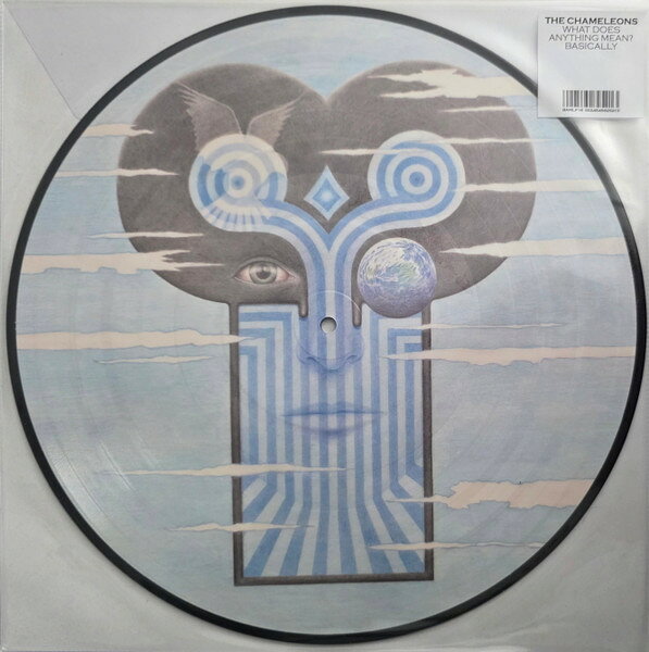 ・アーティスト Chameleons ・タイトル What Does Anything Mean? Basically (Picture Disc) ・レーベル・型番 Blue Apple Music BAMLP18 ・フォーマット 12イ...