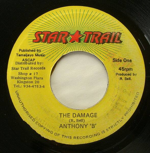 ・アーティスト Anthony B ・タイトル The Damage ・レーベル・型番 Star Trail NONE ・フォーマット 7インチレコード ・コンディション(盤) 良い (VG+) ・コンディション(ジャケット) ・コンディシ...