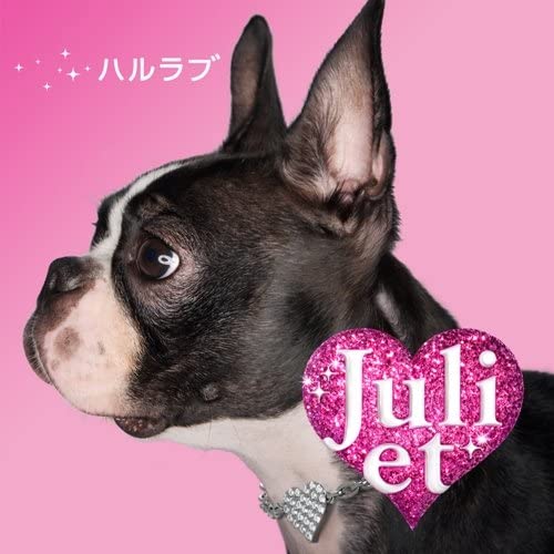 ・アーティスト Juliet, Maiko; Hami ・タイトル ハルラブ ・レーベル・型番 ・フォーマット CD ・コンディション(盤) ほぼ新品 (M-) ・コンディション(ジャケット) ・コンディション(帯) オビあり ・特記事項 ...