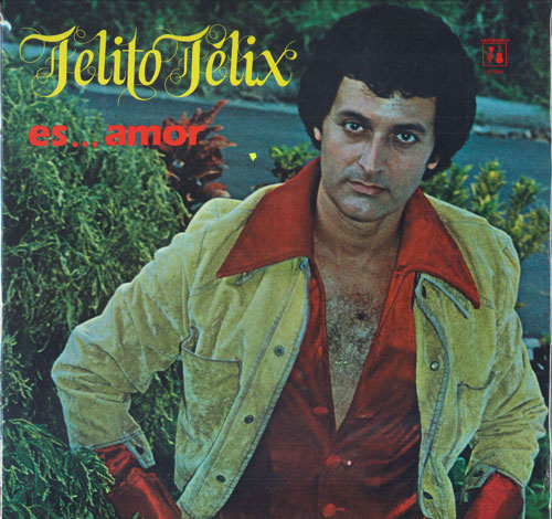 ・アーティスト Felito Felix ・タイトル Es... Amor ・レーベル・型番 Caytronics CYZ6005 ・フォーマット LP ・コンディション(盤) 新品 (M) ・コンディション(ジャケット) ・コンディション...