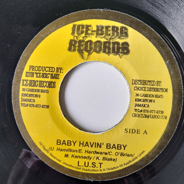 ・アーティスト L.U.S.T. ・タイトル Baby Havin' Baby ・レーベル・型番 Ice-Berg Records NONE ・フォーマット 7" ・コンディション(盤) 良い (VG+) ・コンディション(ジャケット) ・...