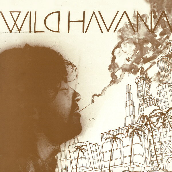 ・アーティスト Wild Havana ・タイトル Wild Havana ・レーベル・型番 Mental Experience MENT020 ・フォーマット LPレコード ・コンディション(盤) 新品 (M) ・コンディション(ジャケッ...