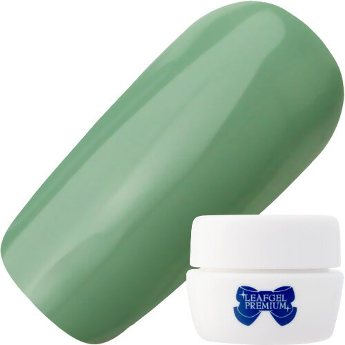 商品名LEAFGEL PREMIUM 【ヴィンテージシアーシリーズ】カラージェル4g 462 グレイッシュミント【お取り寄せ】【ゆうパケット】カテゴリシアー容量/サイズ4gΦ31×H23(mm)商品説明肌になじむくすんだミントグリーン。【ヴ...