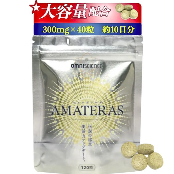 日本山人参 ヒュウガトウキ アマテラス AMATERAS 120粒入り 約30日分 サプリメント 国産 宮崎県 高千穂産 天然 100% Omniscience 無農薬栽培 国内工場 Omniscience ー アマテラスは、ヒュウガトウキ...