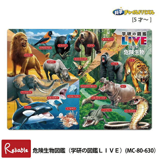 説明 人気の「学研の図鑑LIVE 危険生物」のイラストを使用した、遊びながら学べるキッズパズルです。 パズルを組み立てる楽しさはもちろん、完成後はライオンやトラ、ゴリラ、ホホジロザメ、キングコブラなど、世界の危険生物を観察しながら名前や特徴...