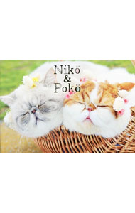 &nbsp;&nbsp;&nbsp; Niko　＆　Poko 単行本 の詳細 出版社: SDP レーベル: 作者: Maki（写真） カナ: ニコアンドポコ / マキ サイズ: 単行本 ISBN: 4906953363 発売日: 2016/...