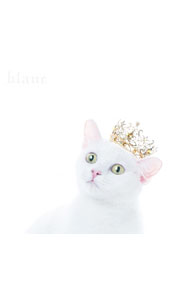 &nbsp;&nbsp;&nbsp; 【CD＋Blu−ray】BEST　SELECTION　“blanc”　初回生産限定盤A の詳細 発売元: 株式会社ソニー・ミュージックレーベルズ　エスエムイーレコーズ アーティスト名: Aimer カナ...